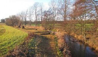 Looking after nature | Wild South Esk